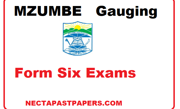 Mzumbe 2025 Pre-National Form Six Papers – PDF Past Papers for All ...