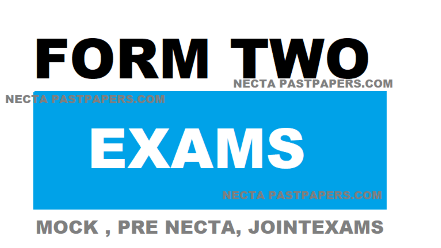 Form Two Past Papers with Answers 2025 | Mitihani ya Mock & Pre NECTA ...
